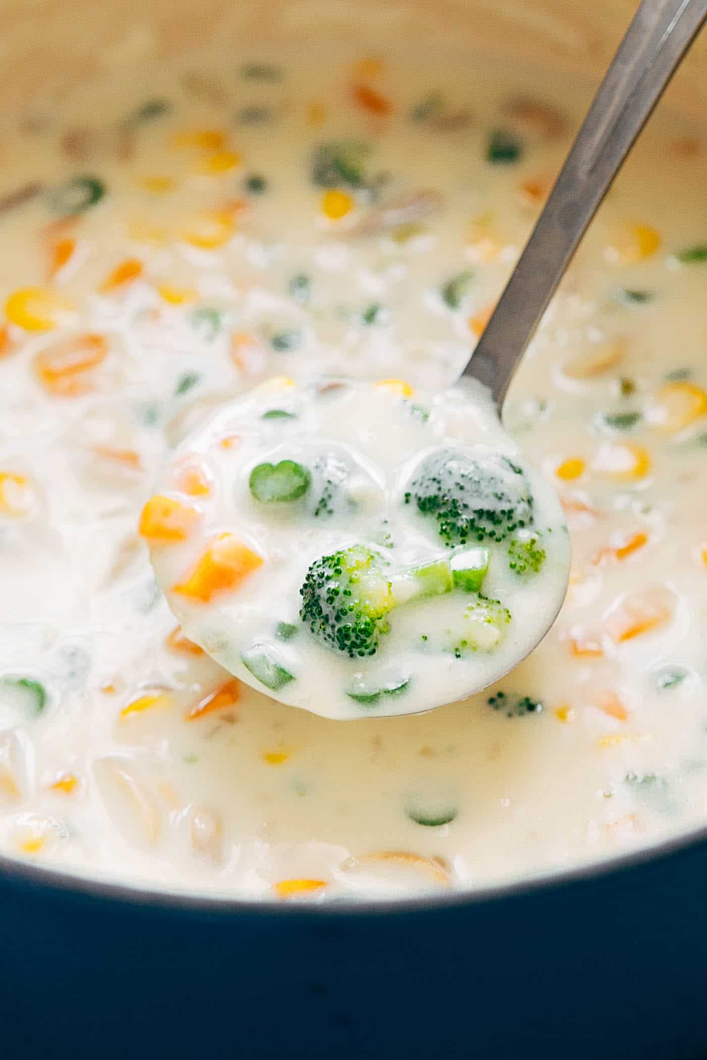 Homemade Creamy Vegetable Soup Geen Room Toegevoegd Carlos Ramirez