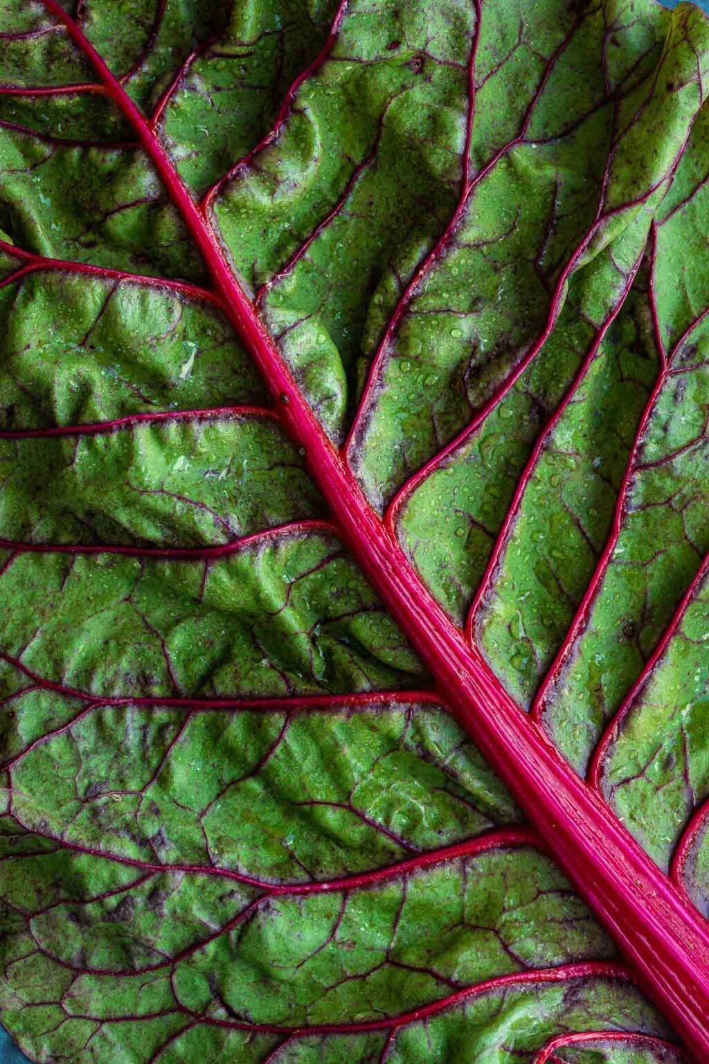 How to wash vegetables properly - a quick guide! - My Food Story